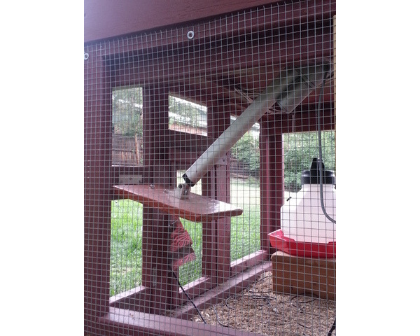 Pololu - Raspberry Pi-controlled chicken coop