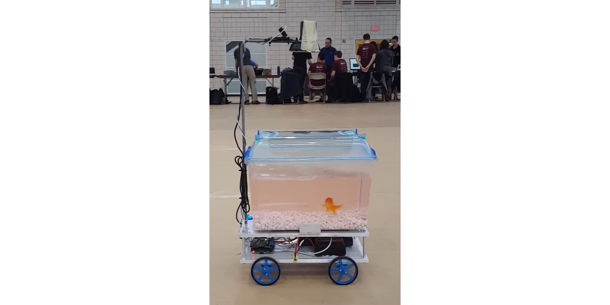 Pololu - Just Keep Swimming: a goldfish-steered mobile fish tank