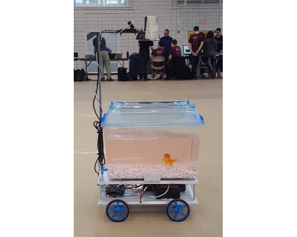 Pololu - Just Keep Swimming: a goldfish-steered mobile fish tank